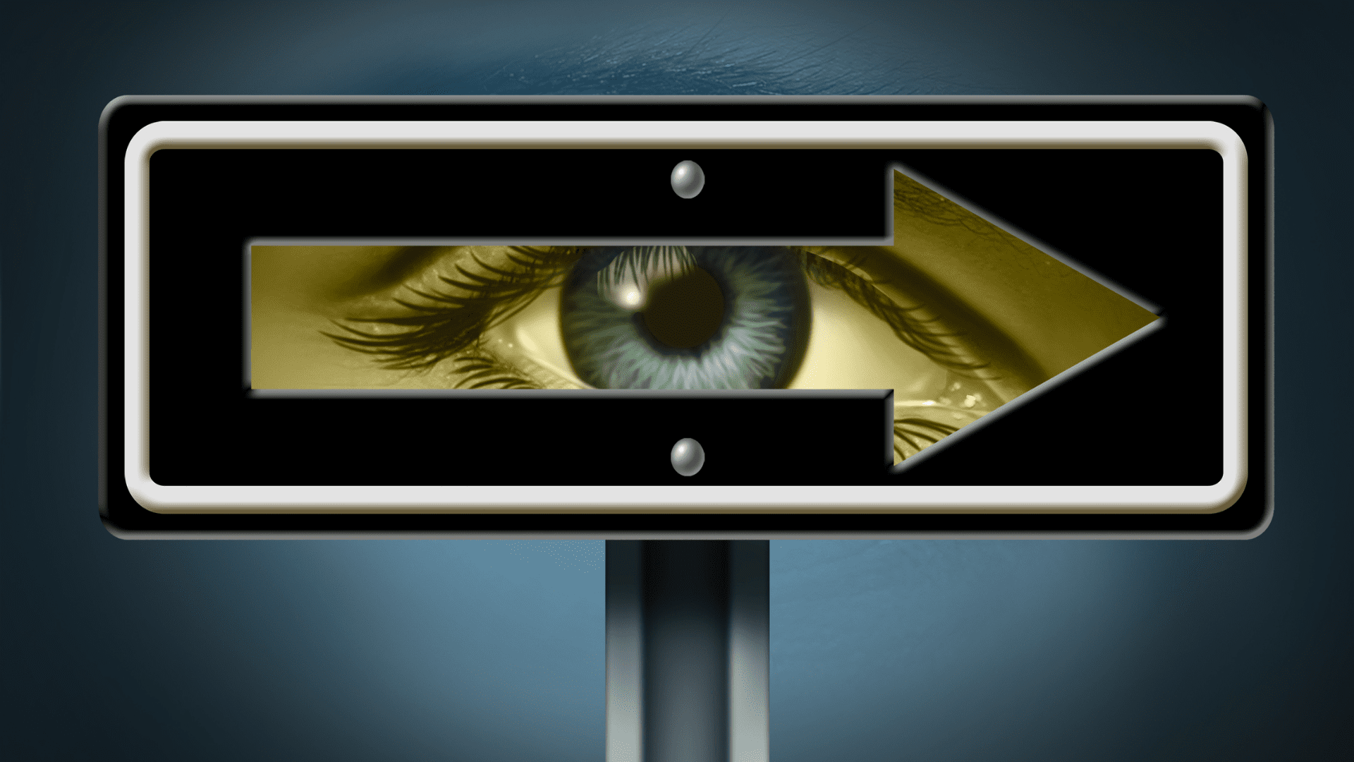 Visionary Mindset: How To Think, Lead, And Succeed