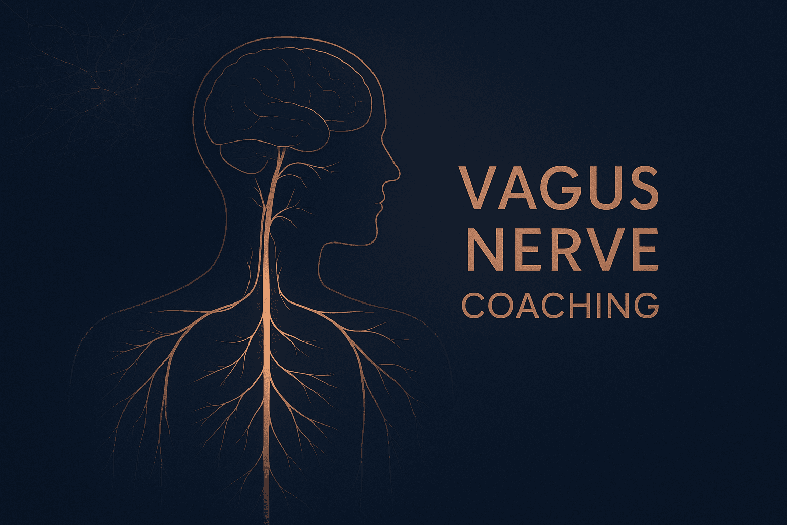 Vagus Nerve Coaching: Transform Stress Into Resilience